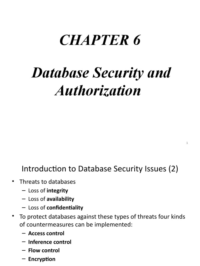 Database Security and Authorization | PDF | Information Security | Databases