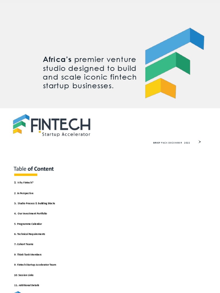 Fintech Accelerator Brief Pack Jan 2023 | Download Free PDF | Startup Company | Small Business ...