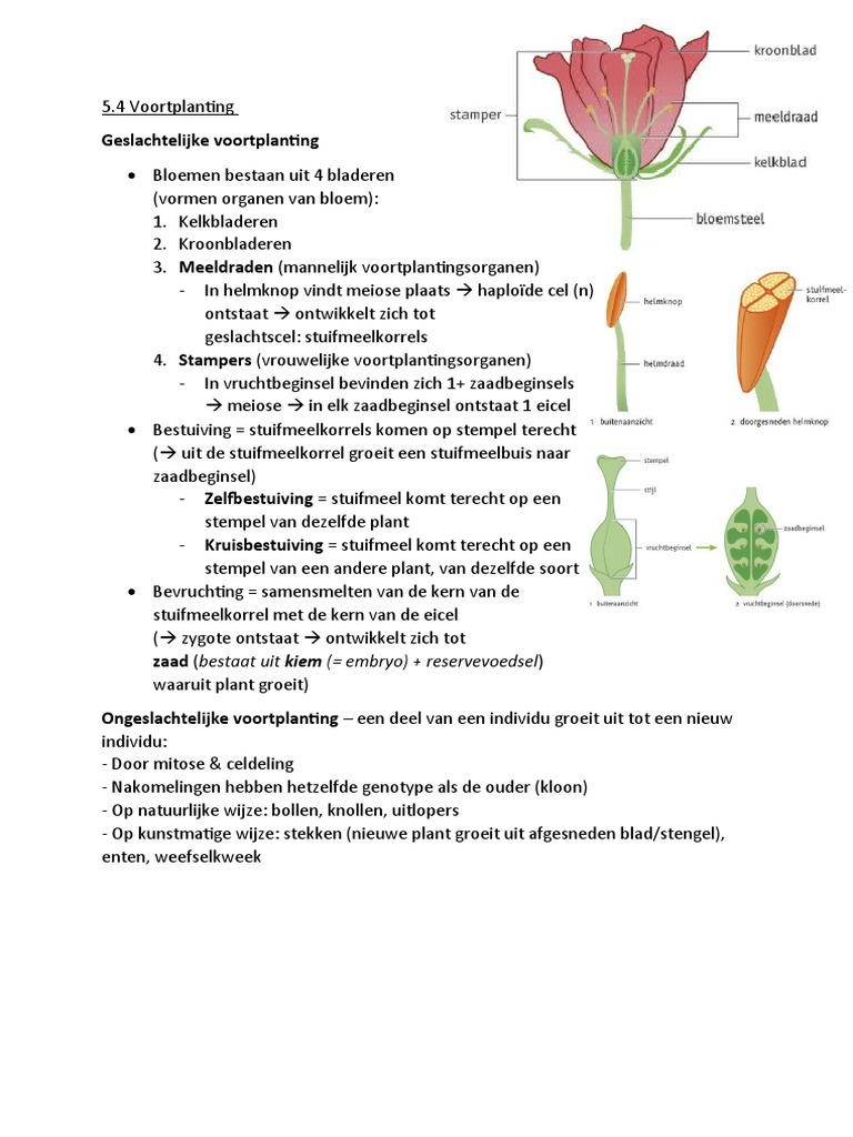5.4 Voortplanting | PDF