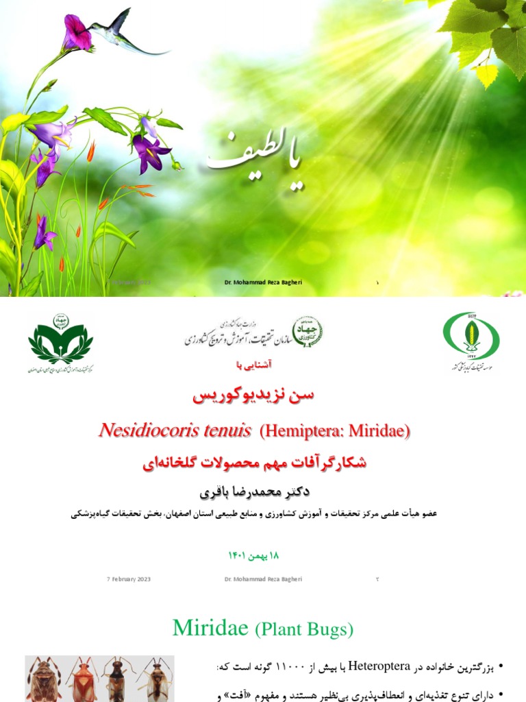 7 February 2023: Dr. Mohammad Reza Bagheri 1 | PDF