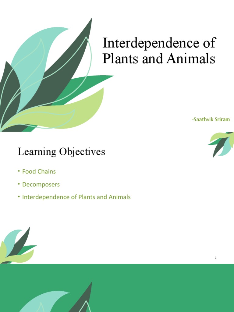 Interdependence of Plants and Animals | PDF