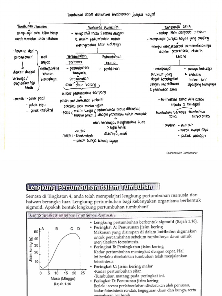 F5 Bio Lengkung Pertumbuhan | PDF