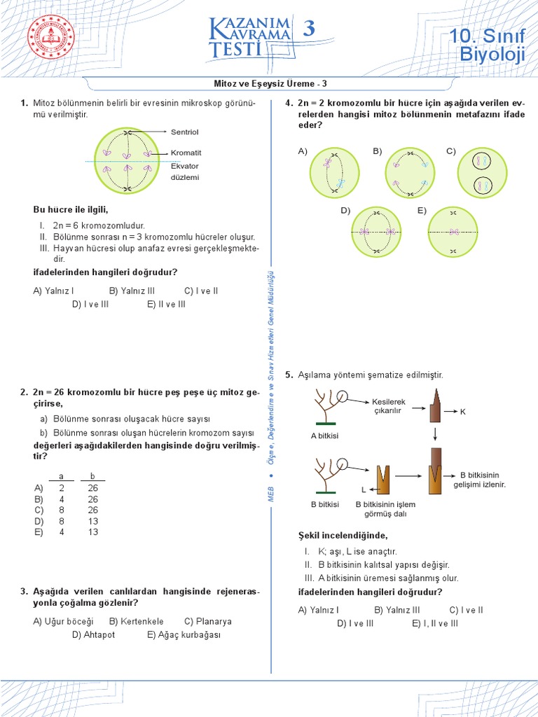 Sınıf Biyoloji Biyoloji: Sentriol | PDF