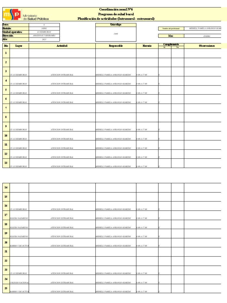 Planificación Mensual de Actividades | PDF