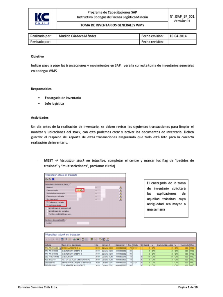 ISAP - BF - 001 - 01 Toma de Inventario General WMS | PDF