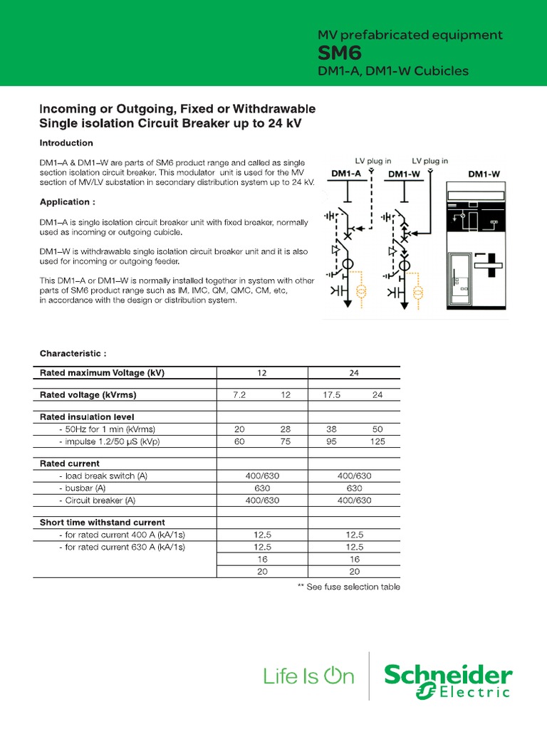 SM6 IAC 12.5ka - DM1A - DM1W | PDF
