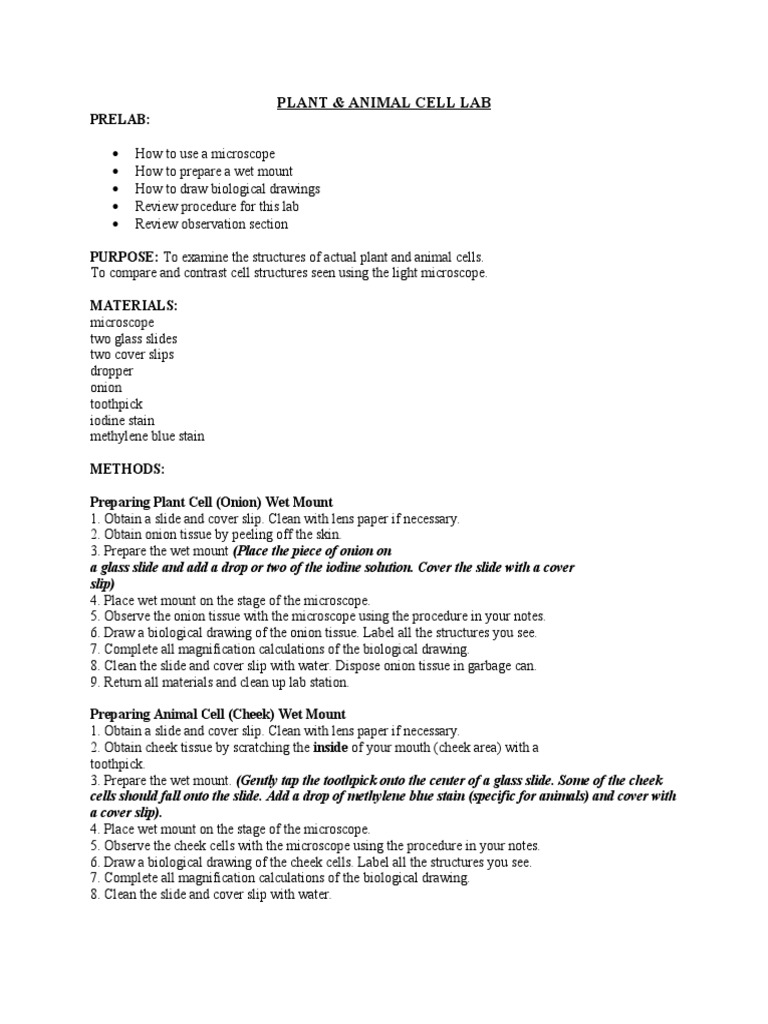 Plant and Animal Cell | PDF | Staining | Physical Sciences