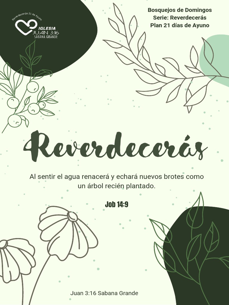 Bosquejos Reverdeceras | PDF | Agricultura | Temporada de primavera)