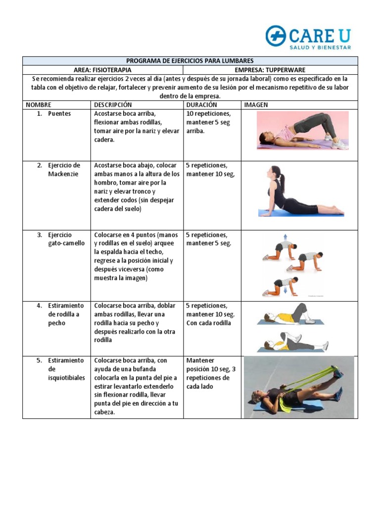 Programa de Ejercicios para Lumbares Area: Fisioterapia Empresa ...