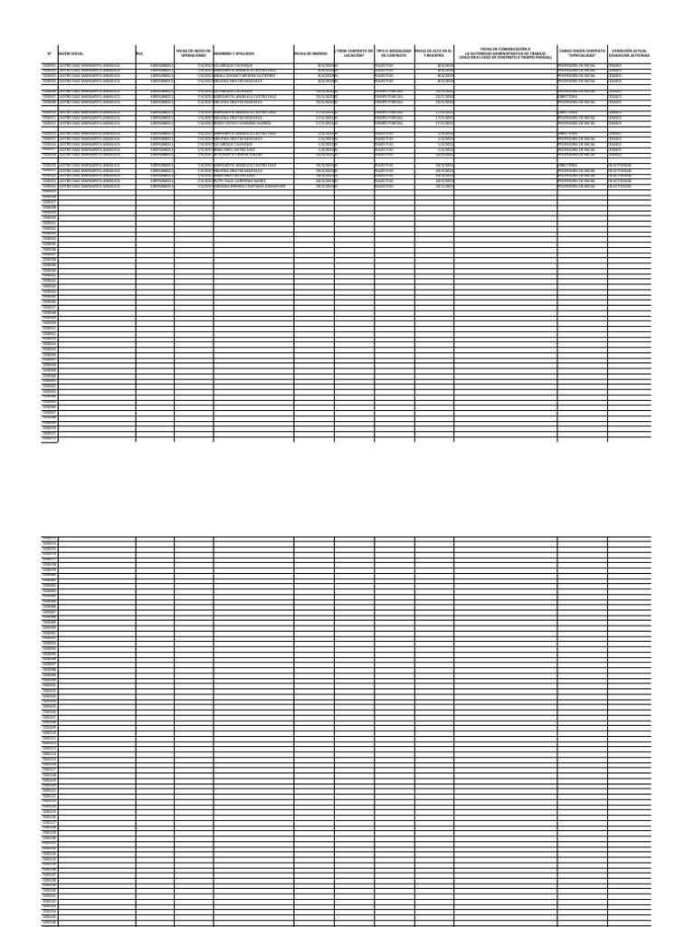 Formato - Registro - SUNAFIL - 1 | PDF