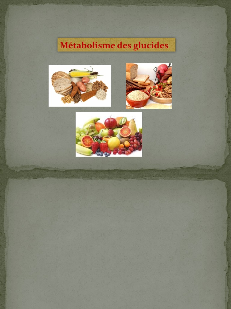 Métabolisme Des Glucides | PDF | Fermentation | Régime et nutrition