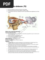 Fisiopatología de Las Células Renshaw | PDF