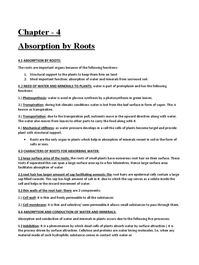Absorption by Roots | PDF | Osmosis | Chemistry Absorption by Roots | PDF | Osmosis | Chemistry