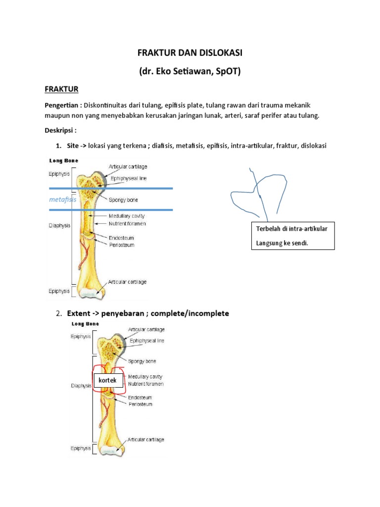 Fraktur Dan Dislokasi | PDF