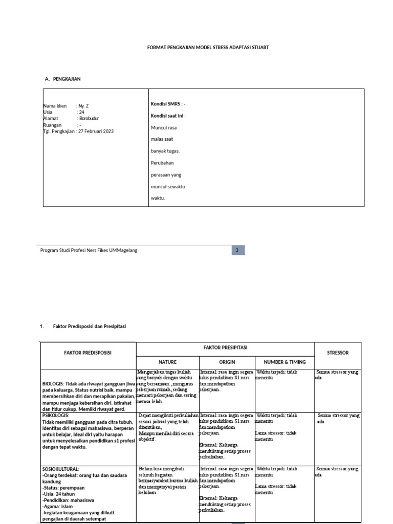 Format Pengkajian Model Stress Adaptasi Stuart | PDF