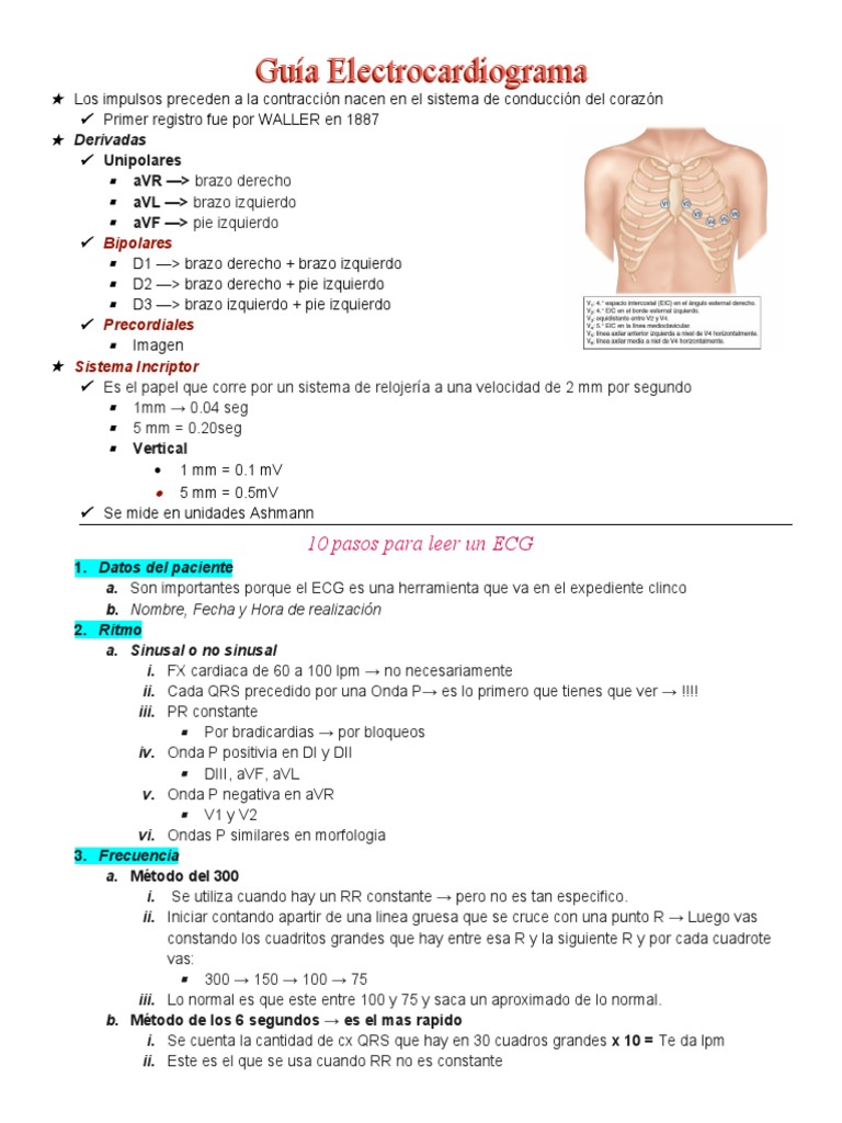 Guía Electrocardiograma | PDF | Electrocardiografia | Sistema cardiovascular