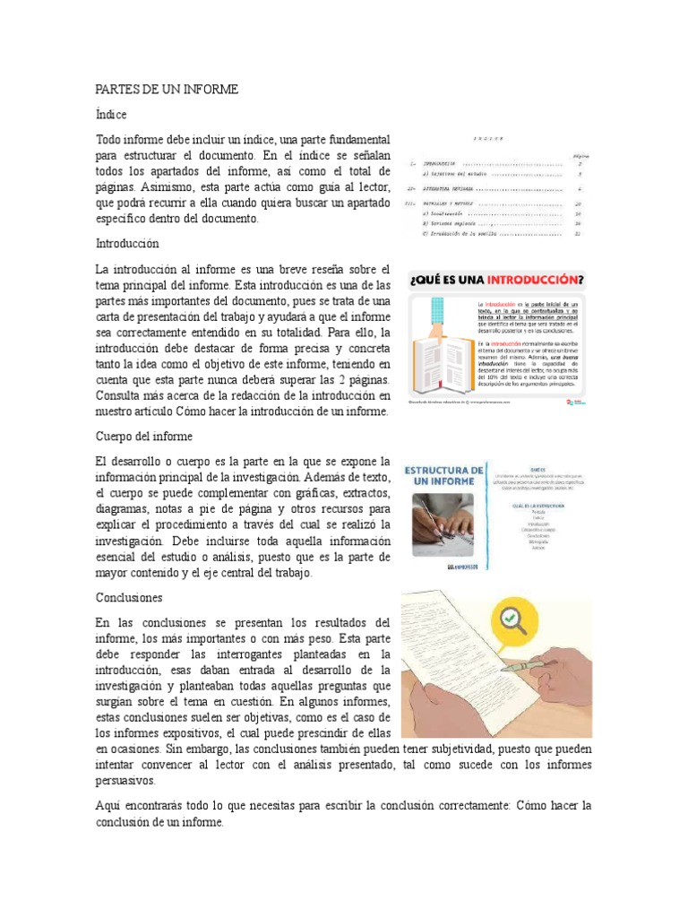 Partes de Un Informe | PDF