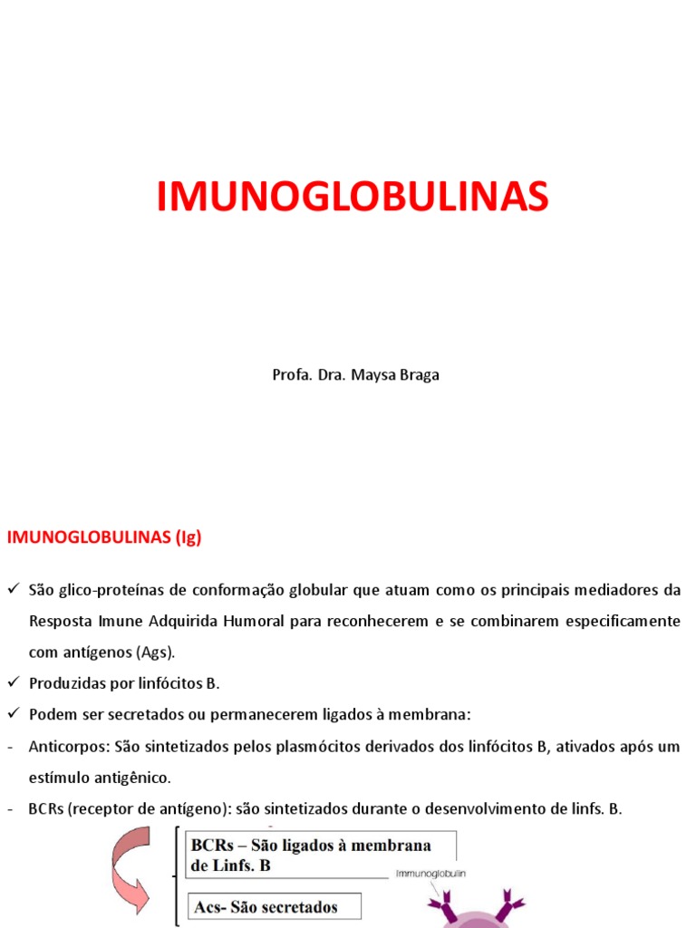 Aula 5 - Imunoglobulinas | PDF | Anticorpo | Célula B