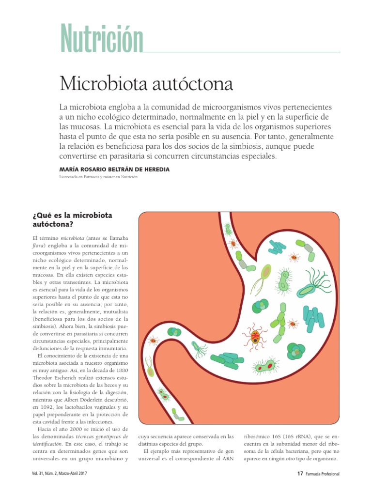 Microbiota Autóctona en el Cuerpo Humano | PDF | Sistema inmune | Las ...