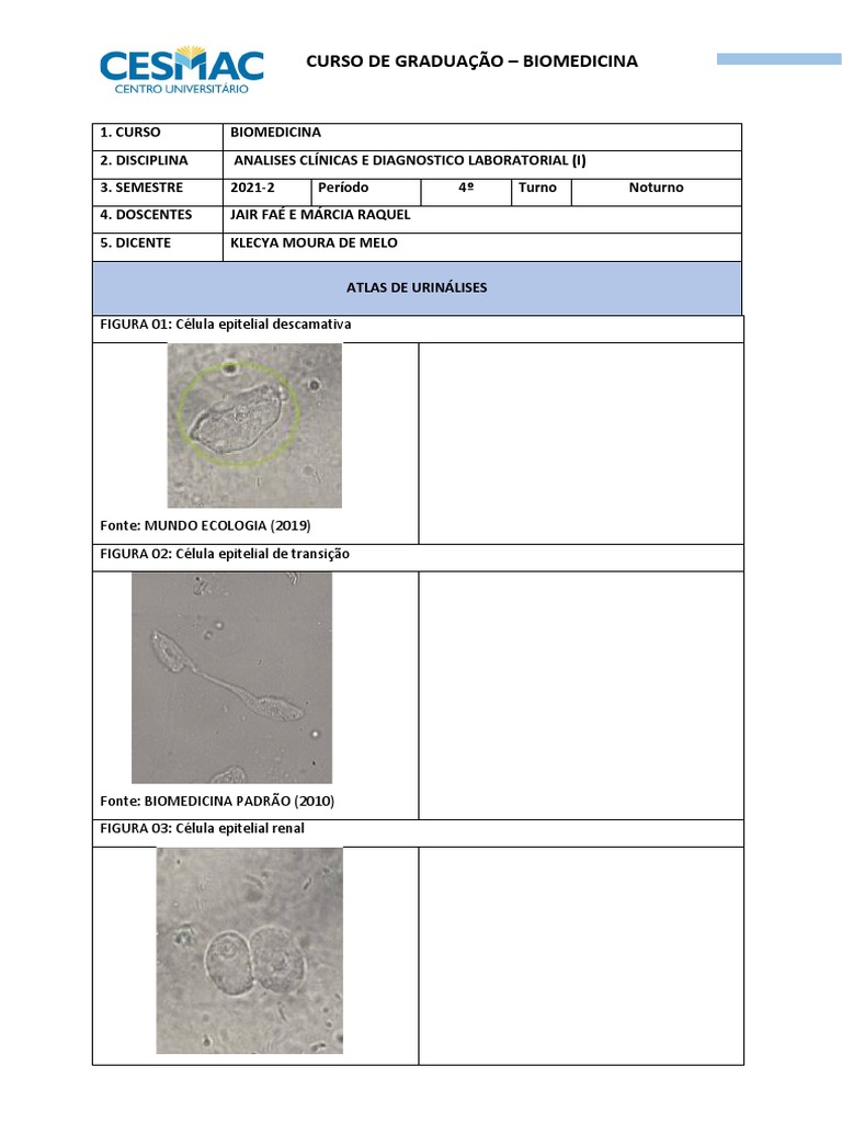 Atlas de Urinalise - Klecya | PDF | Bioética | Sistema de saúde