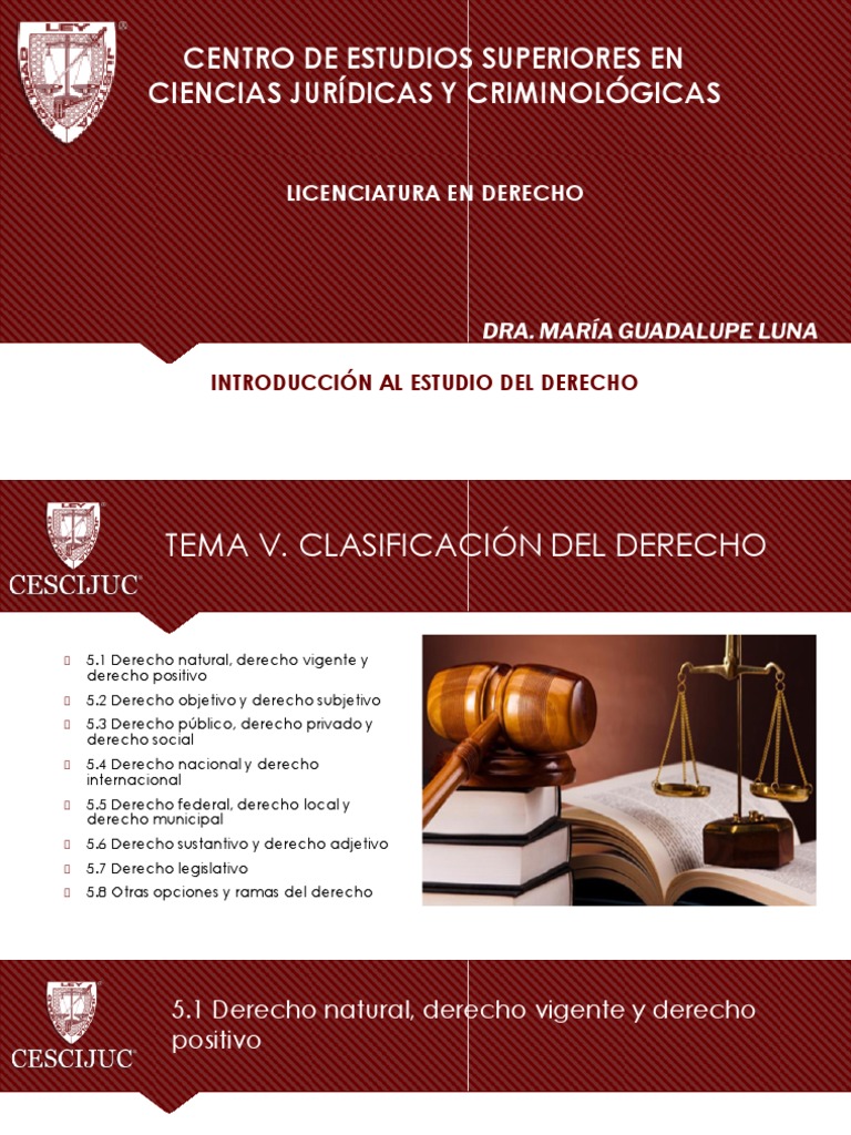 Introducción Al Estudio Del Derecho | PDF | Ley internacional | Ley Pública