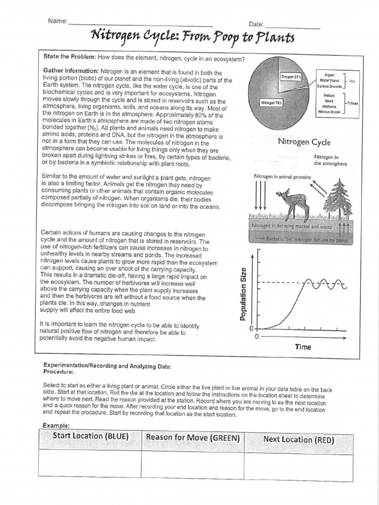 Maleck Student - Nitrogen Cycle Game Instructions and Chart | PDF