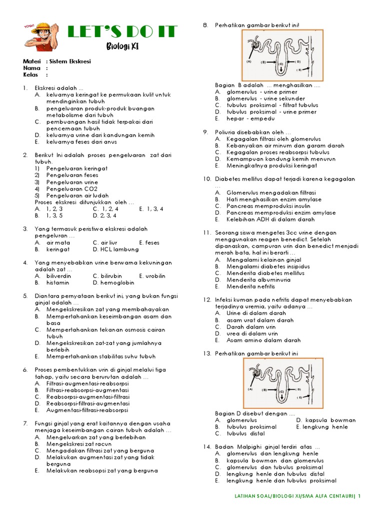 Proses Ekskresi dan Fungsi Ginjal | PDF