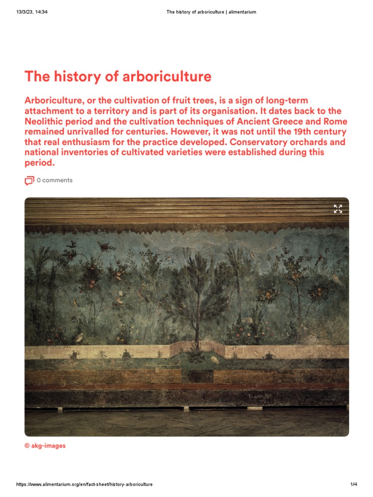 The History And Evolution Of Arboriculture As A Profession – SIYE
