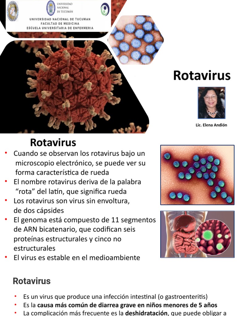 3 - Rotavirus | PDF