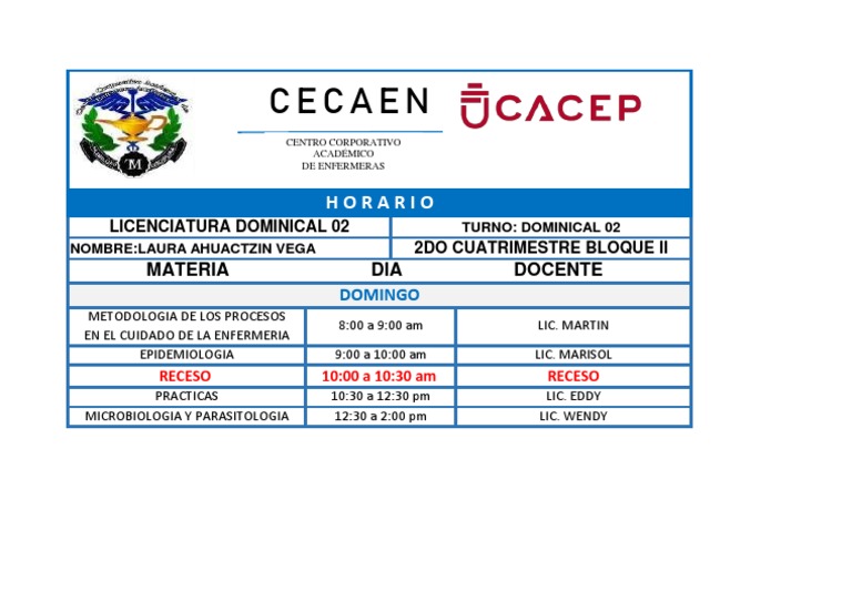 Cecaen: Horario | PDF