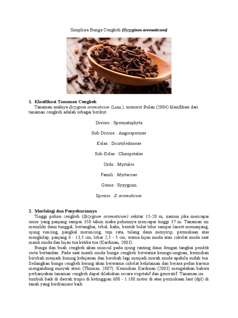 Simplisia dan Pengolahan Bunga Cengkeh | PDF