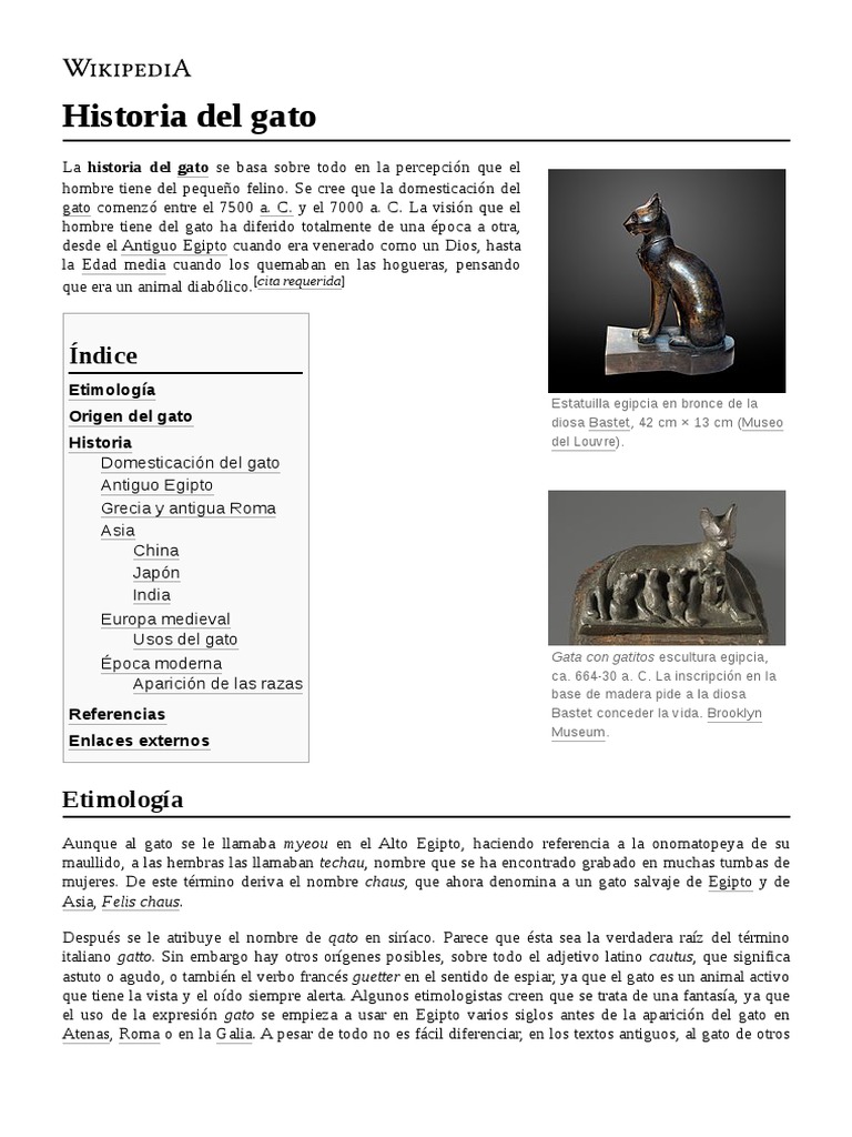 Historia Del Gato | PDF | Gatos | Felidae