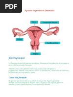 Cuadro Comparativo de Las Diferencias Del Aparato Reproductor Femenino y Masculino | PDF ...