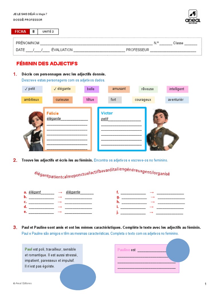 Le Féminin Des Adjectifs | PDF