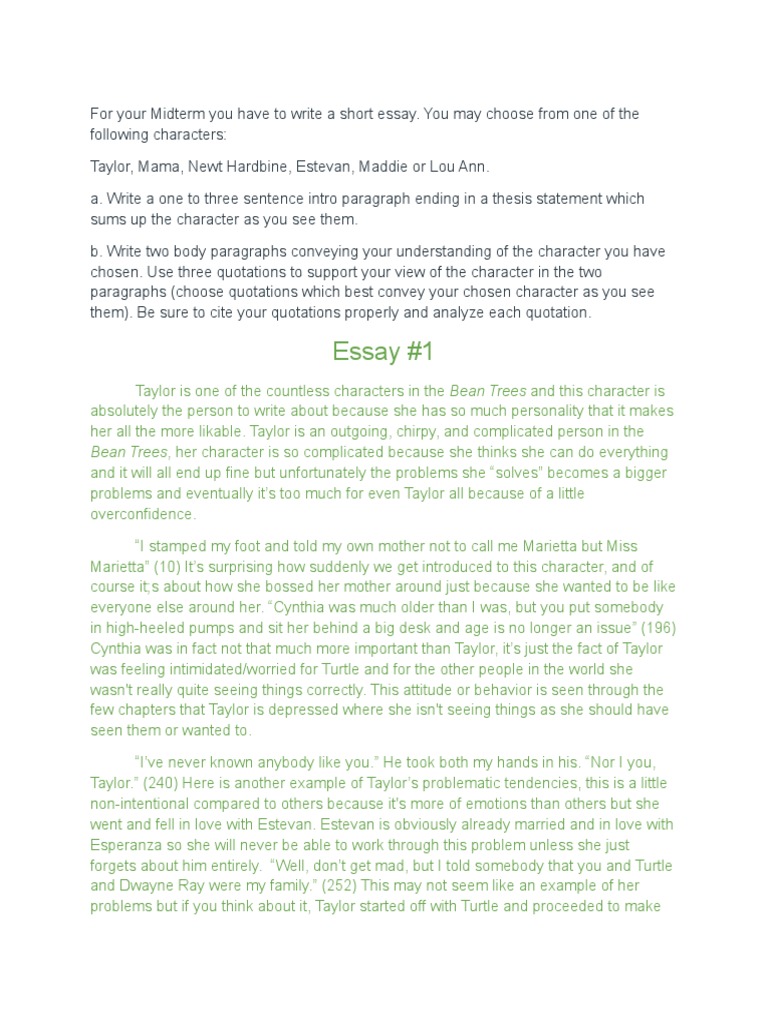 Character Analysis: Exploring Taylor from The Bean Trees | PDF