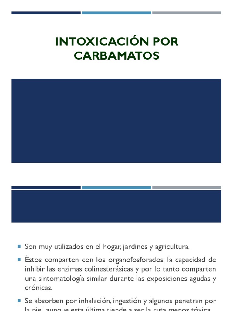 CARBAMATOS | PDF | Acetilcolina | Medicina CLINICA