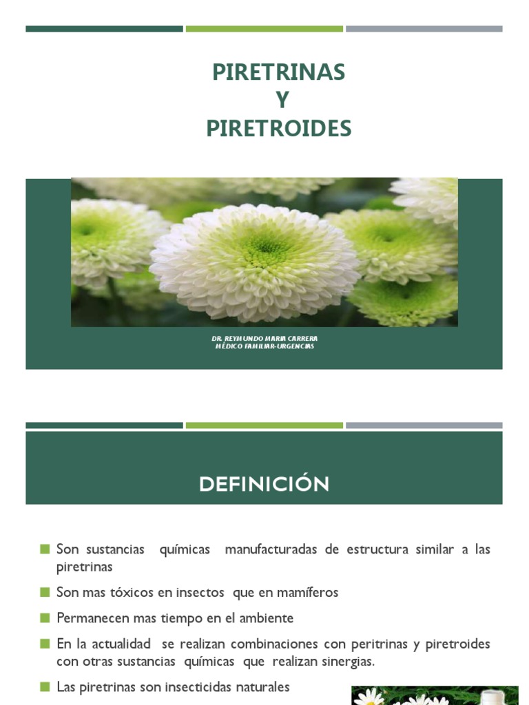 PIRETROIDES | PDF | Especialidades Medicas | Medicina CLINICA