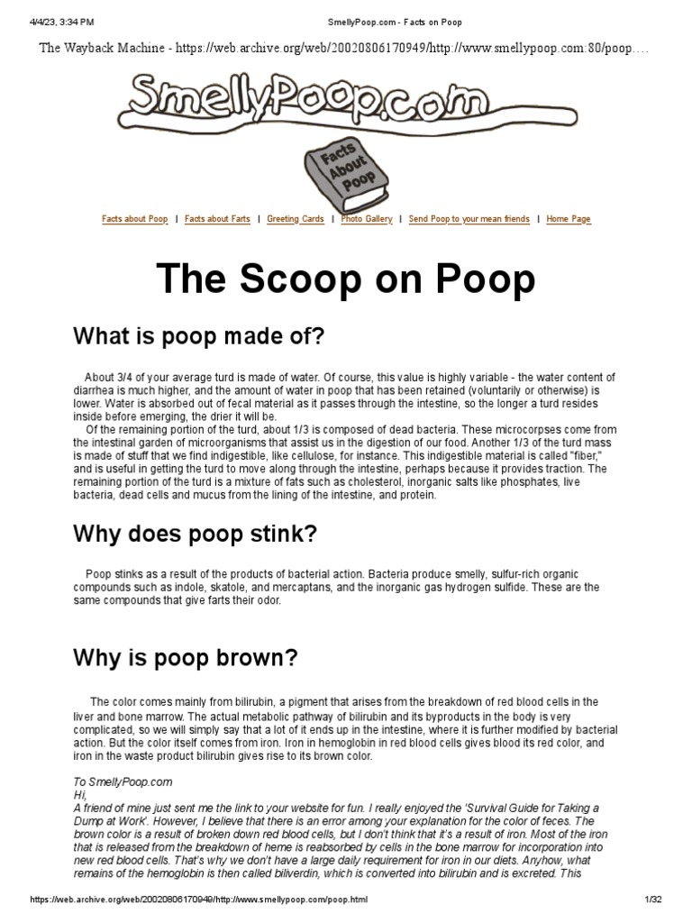 SmellyPoop.com - Facts on Poop | PDF | Gastroenterology | Digestive System