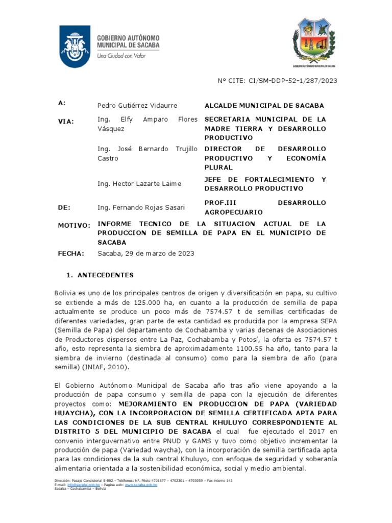 Informe de La Produccion de Semilla de Papa | PDF | Patata | Semilla