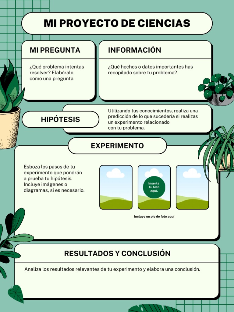 MI PROYECTO DE CIENCIAS | PDF | Experimentar | Hipótesis