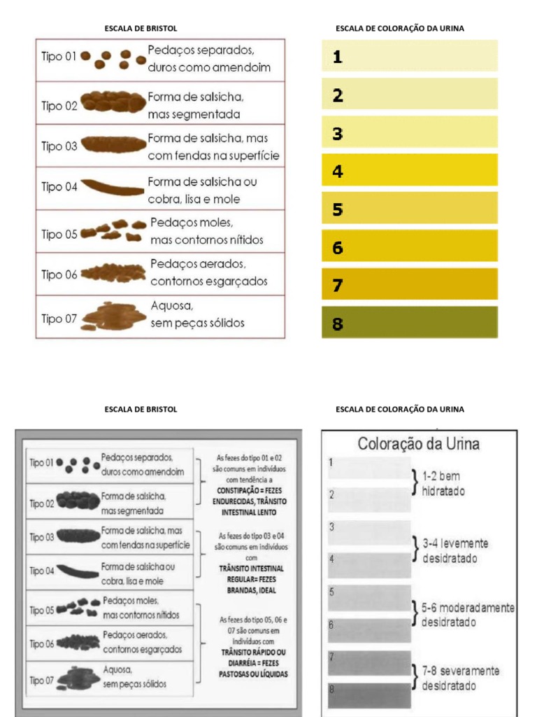 ESCALA DE BRISTOL E URINA PARA IMPRIMIR | PDF