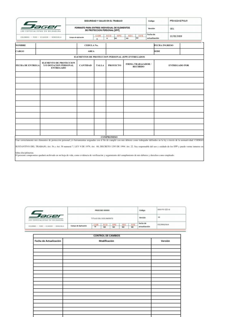 Formato de Entrega de Epp | PDF