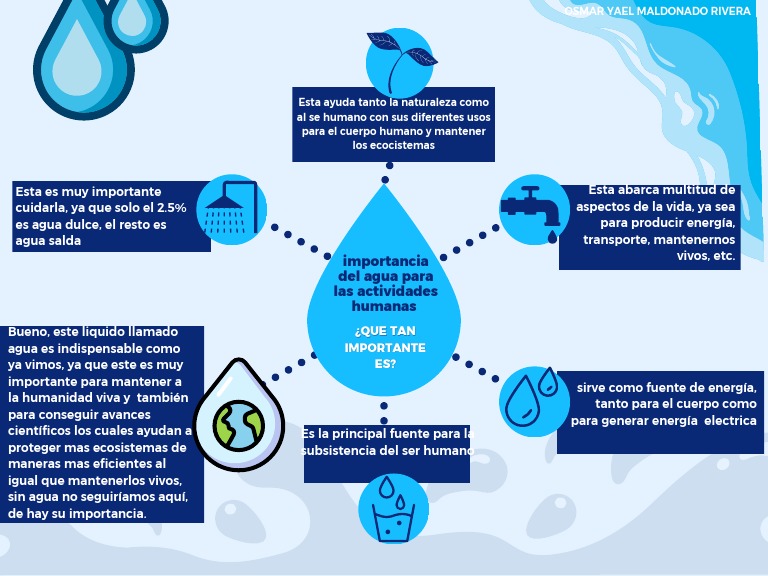 Importancia del Agua en la Vida Humana | PDF | Salud y bienestar ...