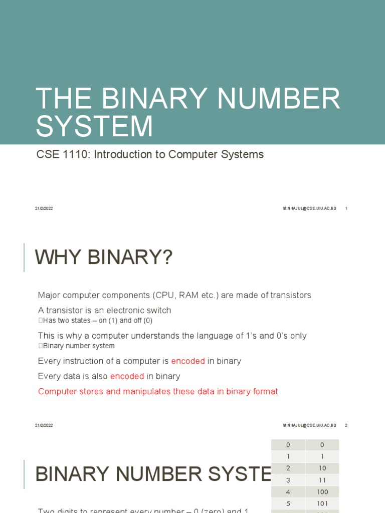 The Binary Number System: CSE 1110: Introduction To Computer Systems | Download Free PDF | Byte ...