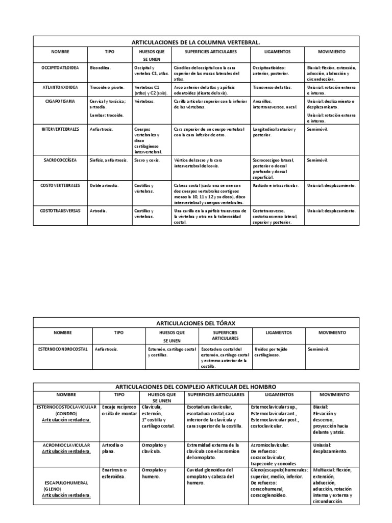 Articulaciones Cuadro | Descargar gratis PDF | Vértebra | Articulación