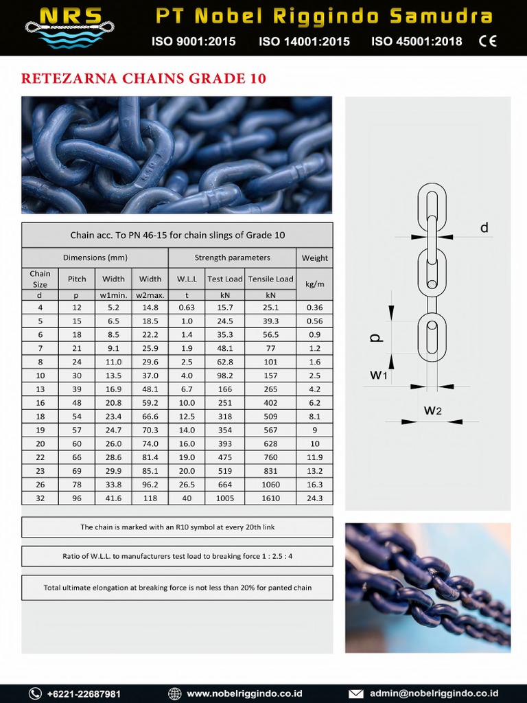 Retezarna G100 Chain | PDF
