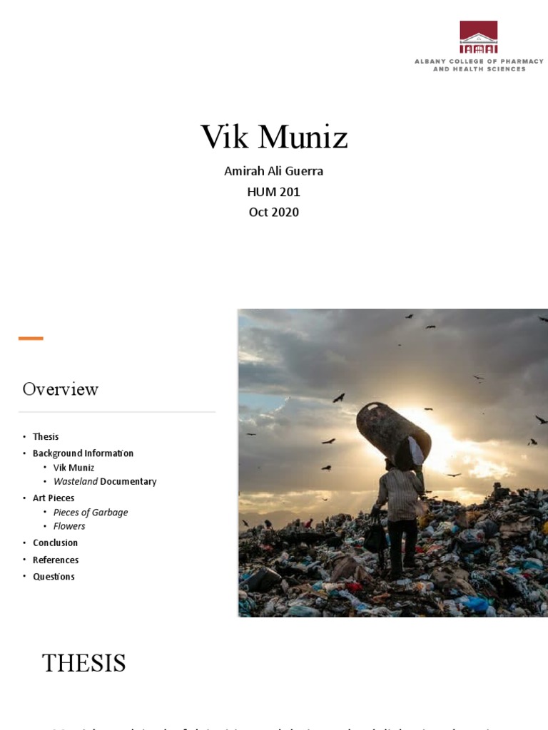 Vik Muniz - Amirah Ali | PDF