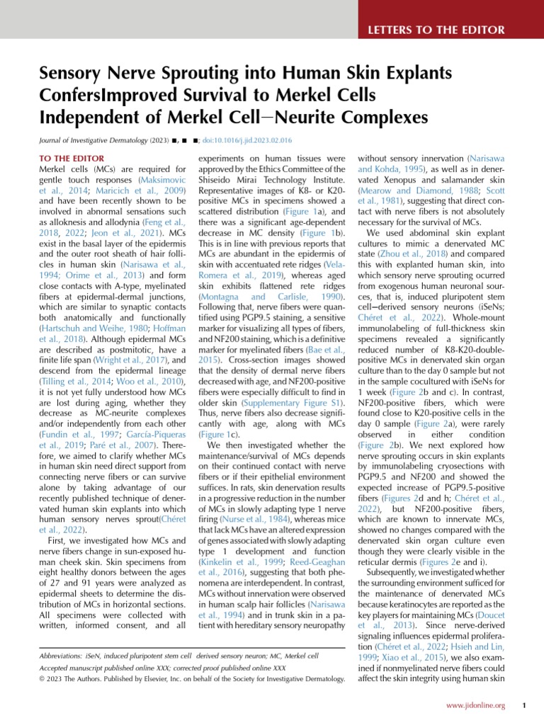 2023 - Sensory Nerve Sprouting Into Human Skin Explants ConfersImproved ...