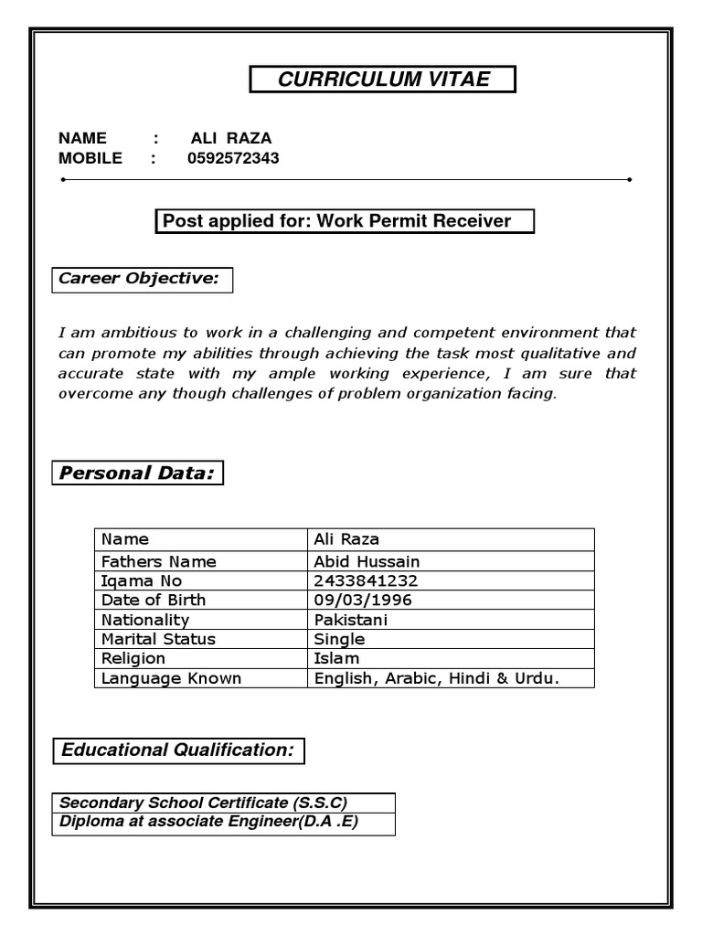 Ali Raza: Work Permit Receiver CV | PDF
