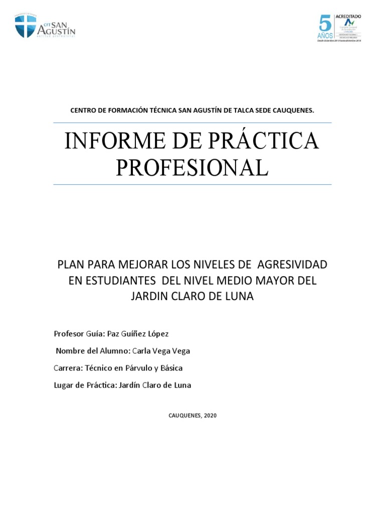 Informe de Práctica Profesional | PDF | Invasión | Aprendizaje